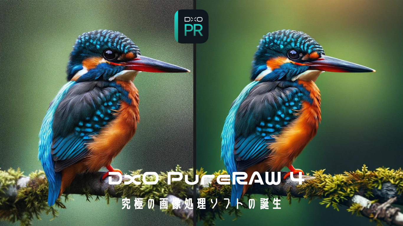 DxO PureRAW4 レビュー：究極の画像処理ソフトの誕生 | ヒデログ